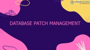 Database Patch Management Best Practices